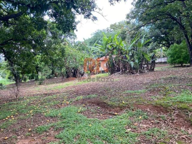 Lote comercial bairro garças belo horizonte