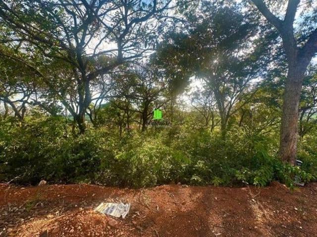 Lote Comercial em Pomar Da Lagoa