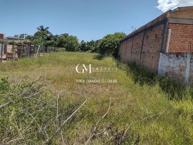 Lote comercial na Avenida Independência