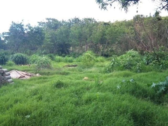 Lote comercial no amarais recanto fortuna