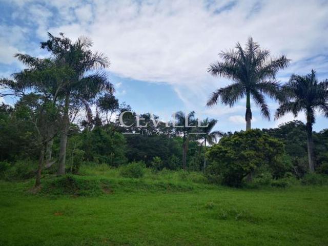 Lote comercial plano de 3.050m²