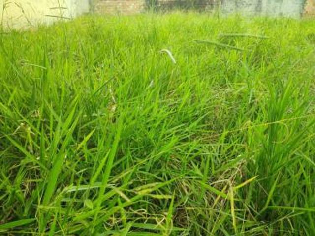Lote CONTAGEM, MG no bairro Sapucaias III
