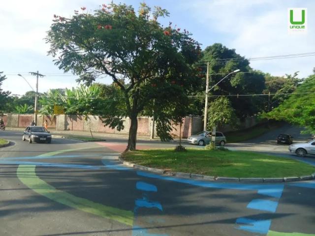 Lote copacabana
