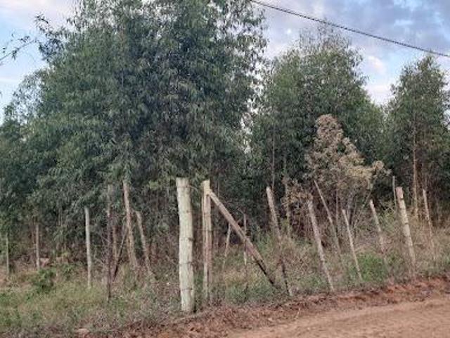 Lote de chácara Camargo II São Pedro S/P