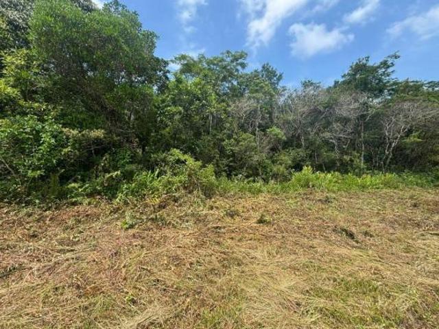LOTE DE CHÁCARA A VENDA NA PRAIA EM ITANHAÉM
