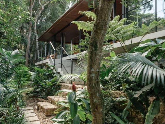 Lote de fundo para mata com vista para montanhas e natureza!