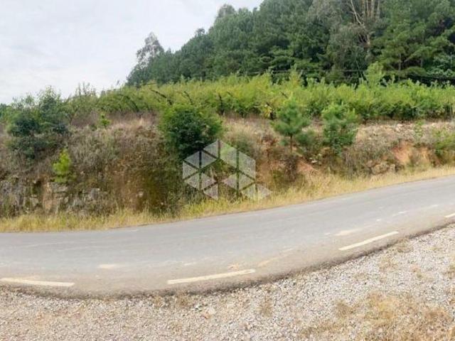 Lote de terras com 4,6 hectares, localizado na Linha Jacinto em Farroupilha