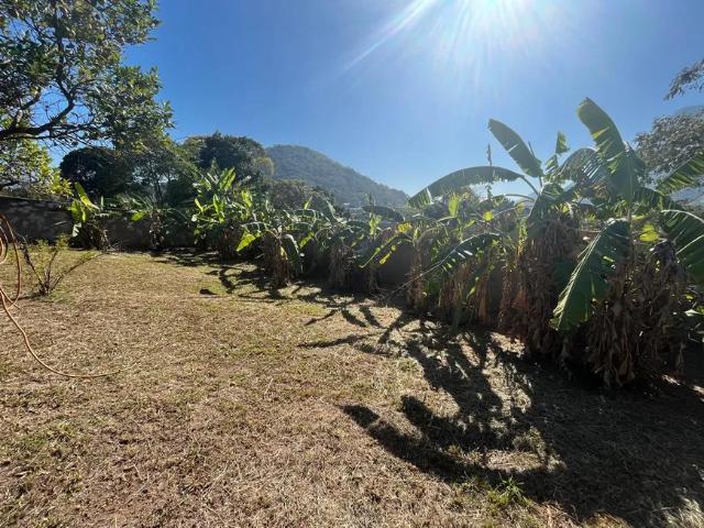 Lote de terreno 20 x 50 1.000 M2