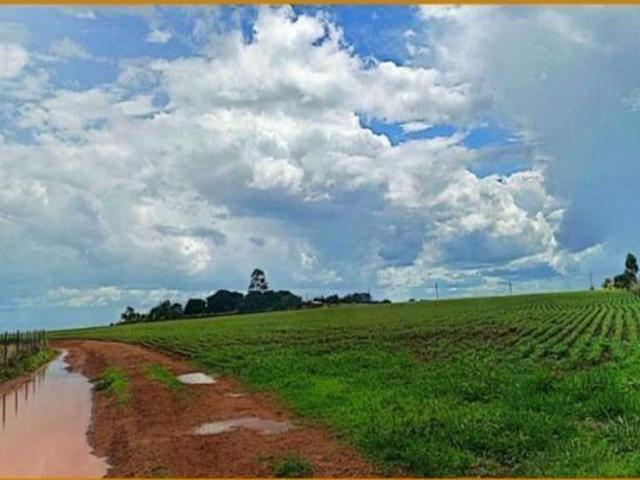 LOTE DE TERRENO N°12, NA QUADRA 413, SEM BENFEITORIAS, DO LOTEAMENTO SÃO GABRIEL DE GOIÁS, NA RUA 19