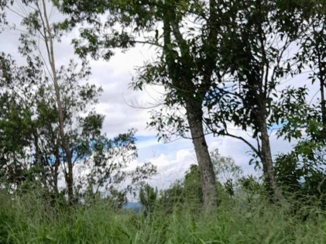 Lote de 1000m² em São Roque – investimento estratégico