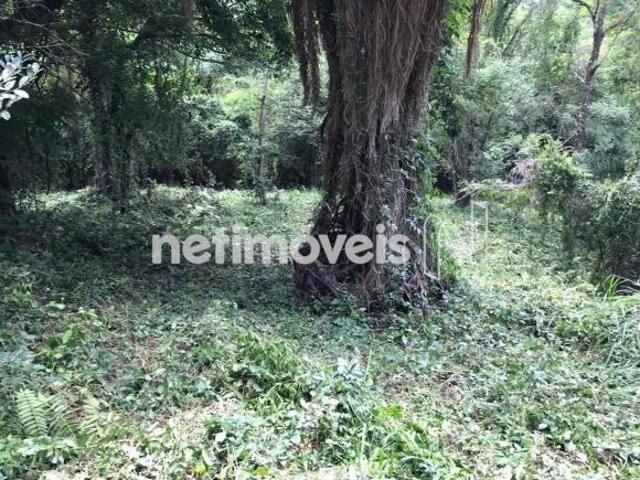Lote de 1.000 m² em Condomínio Fechado – Natureza e conforto – Vale do Tamanduá