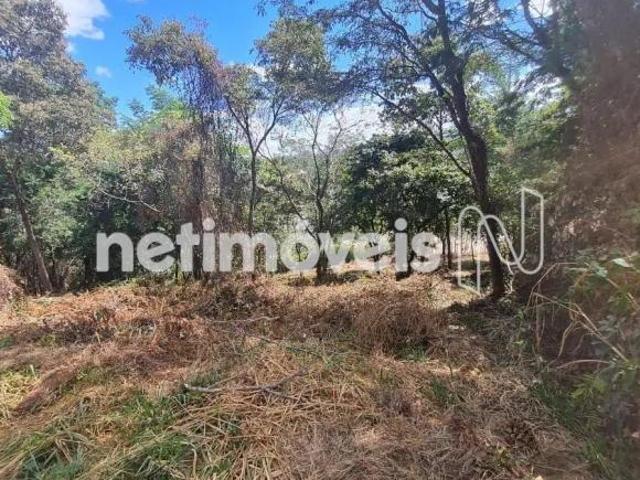 Lote de 1.147,50 m² com Vista Definitiva para a Montanha no Vale do Tamanduá