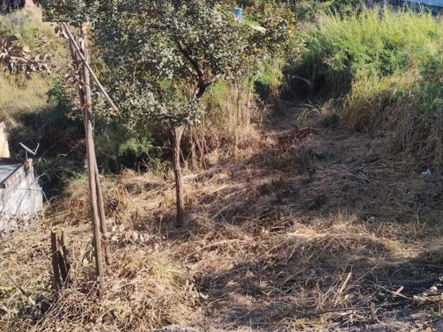 LOTE DE 250 M2 COM AGUA E LUZ