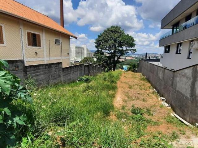 LOTE DE 250 MT