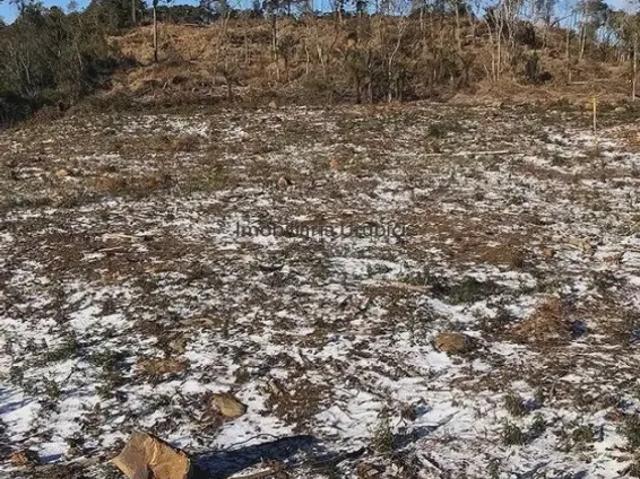 Lote de 2 hectares à venda