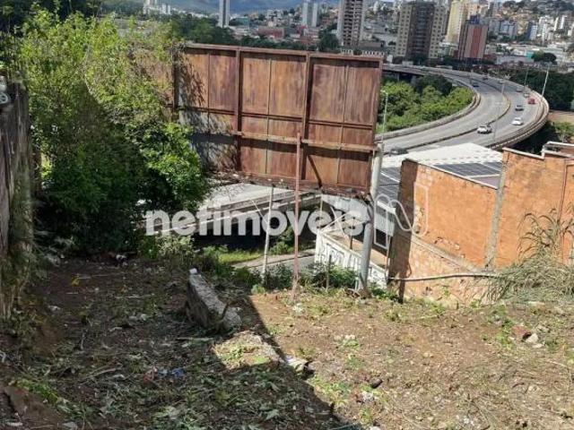 Lote de 360 m² dimenssôes: 12m x 30m. Pequeno declive. 100% murado Rua asvaltada. Luz e água