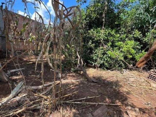 Lote de 300 m²