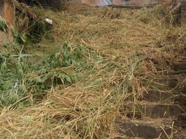 LOTE DE 435M²NO BAIRRO UNIÃO PRÓXIMO DO BAIRRO FERNÃO DIAS