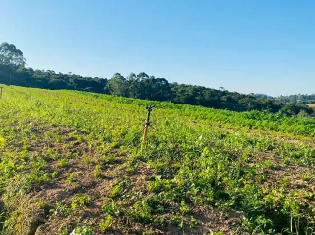 Lote de 500m² em Ibiúna com Portaria 24h – Oportunidade Imperdível!