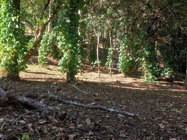 Lote Excelente Topografia em Condomíonio TOP de Casa Branca