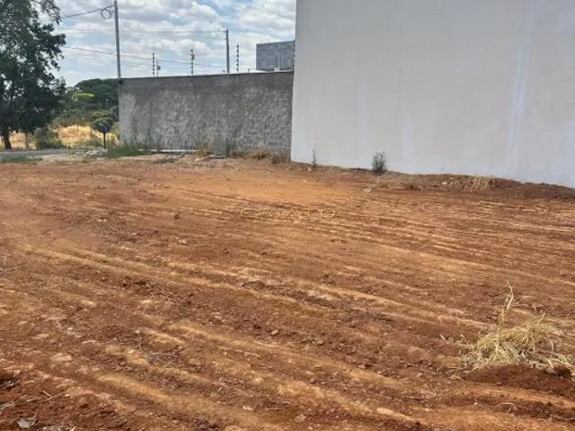 Lote Excelente no Setor Jamil Miguel