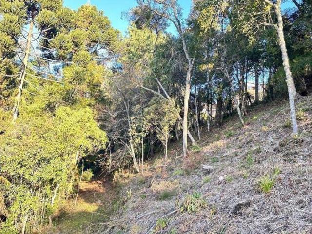 Lote Exclusivo com Vista Panorâmica
