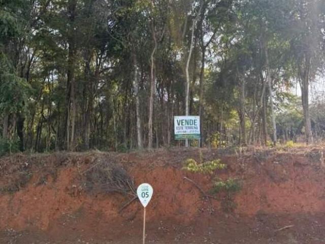 Lote Exclusivo de 1.209 m² no Estância da Mata – Apenas R$ 290 mil!