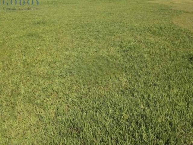 Lote Exclusivo e Plano – 1.200m² no Condomínio Mais Desejado