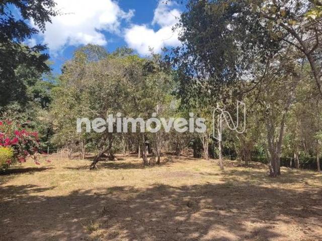 Lote Exclusivo no Vale do Tamanduá – Amplitude, Natureza e Localização Premium