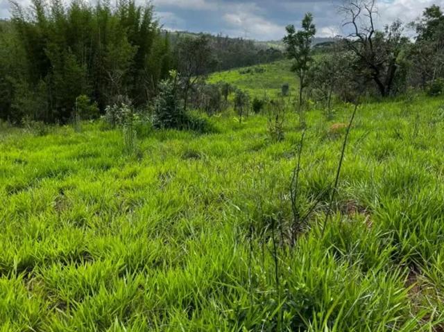 Lote em Mairiporã – ótimo investimento