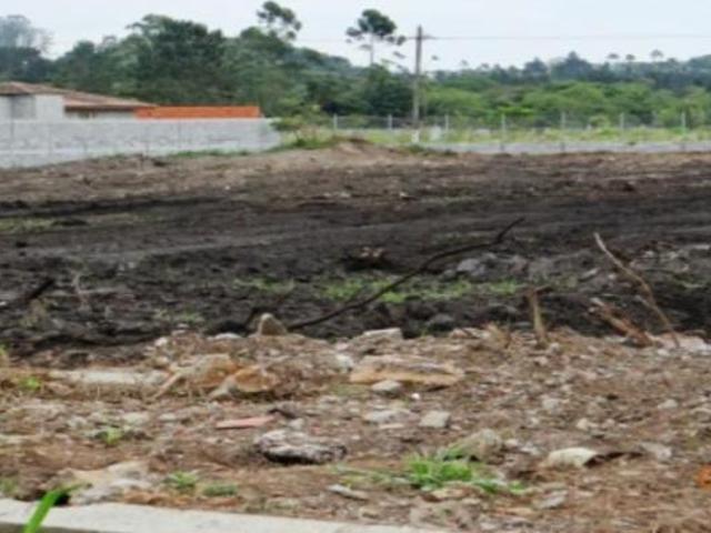 Lote em Av Mart Ângela V de Souza Centro Embu Guaçu/SP
