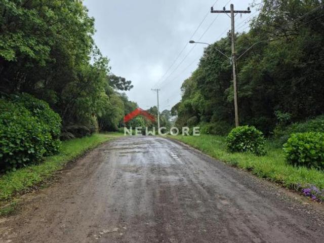 Lote em Av Mata Atlântica Alpes São Francisco de Paula/RS