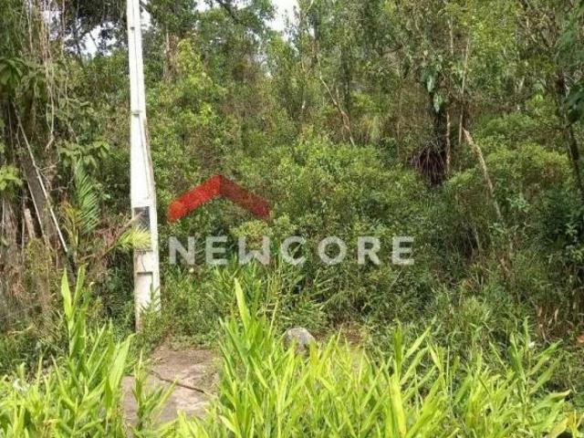 Lote em Av Das Goabeiras Balneário Campos Eliseos Itanhaém/SP