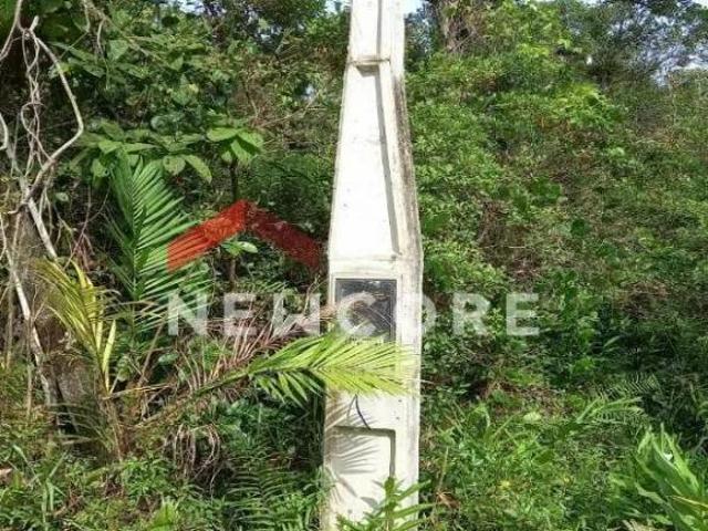 Lote em Av Das Goabeiras Balneário Campos Eliseos Itanhaém/SP
