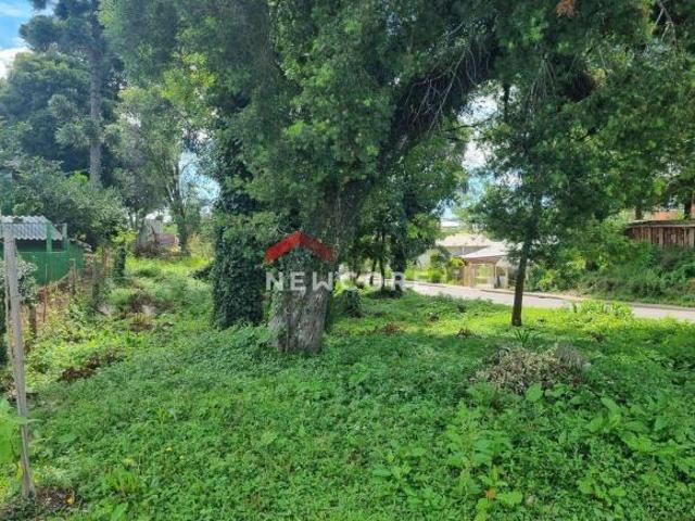Lote em Av Jucelino Kubitscheck de Oliveira São Rafael Canela/RS