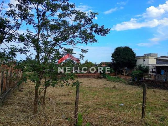 Lote em Avenida Caxias do Sul Rio dos Sinos São Leopoldo/RS