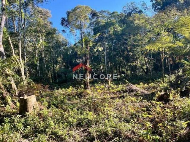 Lote em Avenida Chimango Colinas São Francisco de Paula/RS