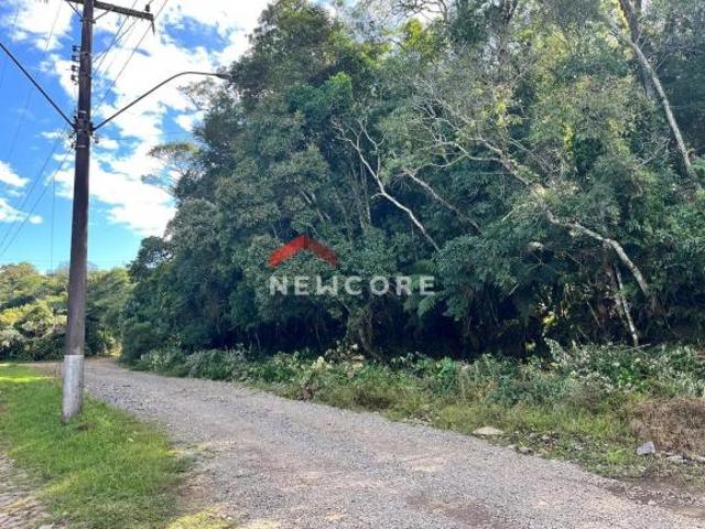 Lote em Avenida Chimangos Colinas São Francisco de Paula/RS