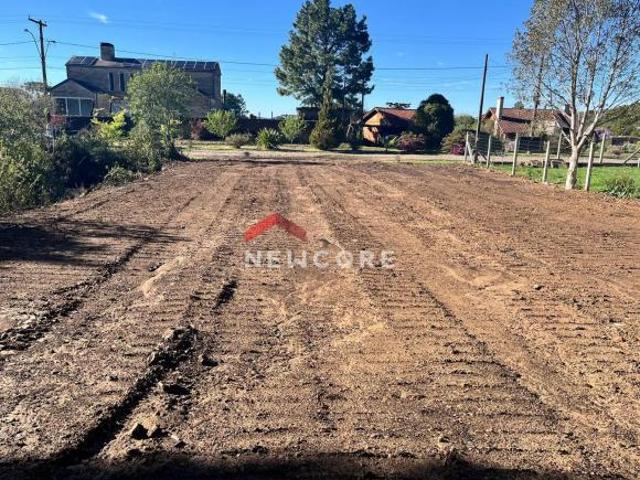 Lote em Avenida Chimangos Colinas São Francisco de Paula/RS