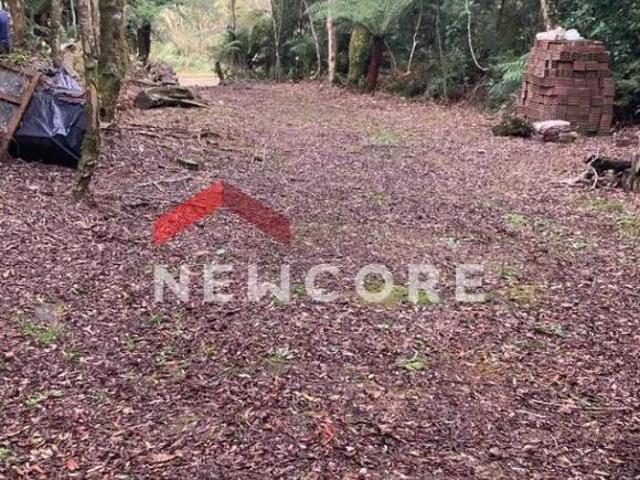 Lote em Avenida Chimangos Colinas São Francisco de Paula/RS