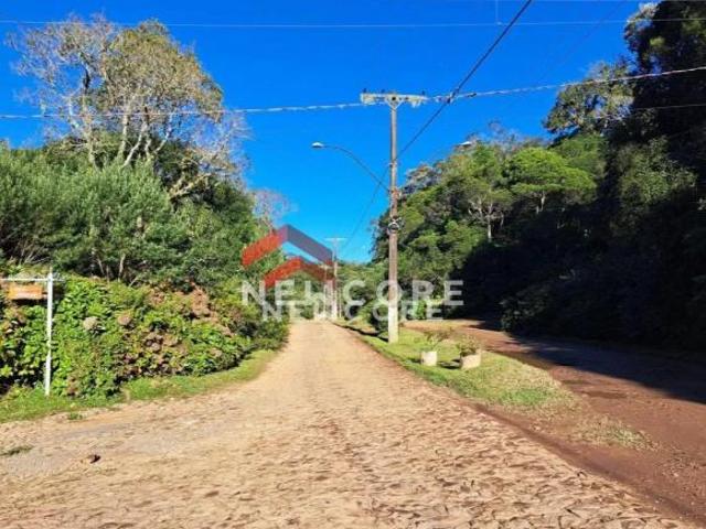 Lote em Avenida Chimangos Colinas São Francisco de Paula/RS