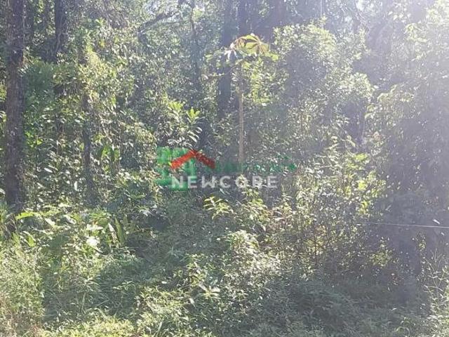 Lote em Avenida Agenor de Campos Jussara Mongaguá/SP