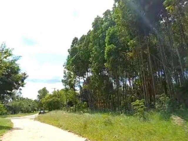 Lote em avenida Alpes das Águas Alpes das Águas São Pedro/SP