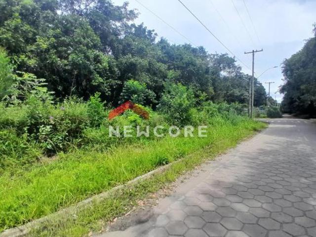 Lote em Avenida do Telégrafo Balneário Garça Vermelha Peruíbe/SP