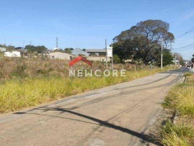 Lote em Avenida Dom Pedro I Terra Nova Taubaté/SP