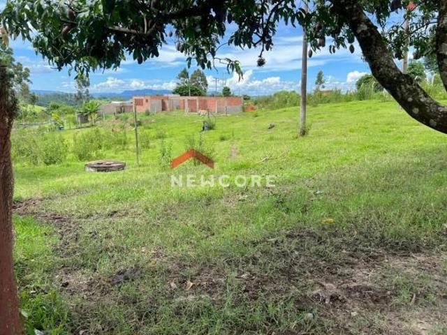 Lote em Avenida dos Ipês, 301 Granja Regina Rio Claro/SP