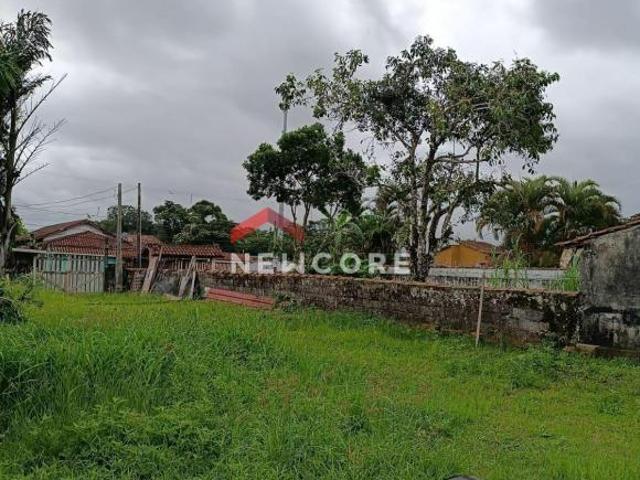 Lote em Avenida Deputado Emilio Justo Boraceia Bertioga/SP