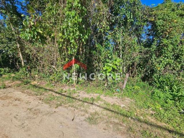 Lote em Avenida Emílio Manzano Lhorente Balneário dos Golfinhos Caraguatatuba/SP