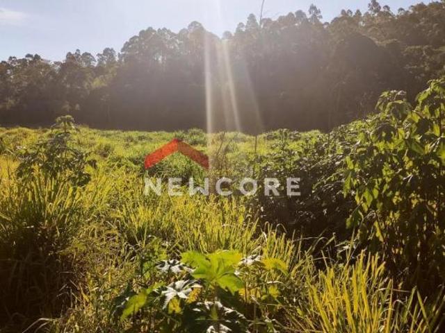 Lote em Avenida João Amato Chácara Lagoa Branca Campo Limpo Paulista/SP
