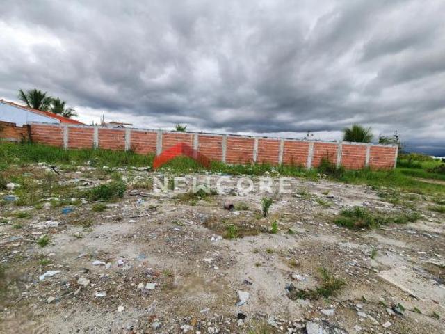 Lote em Avenida Luiz Eduardo Aulicino Loteamento Jardim das Palmeiras Caraguatatuba/SP